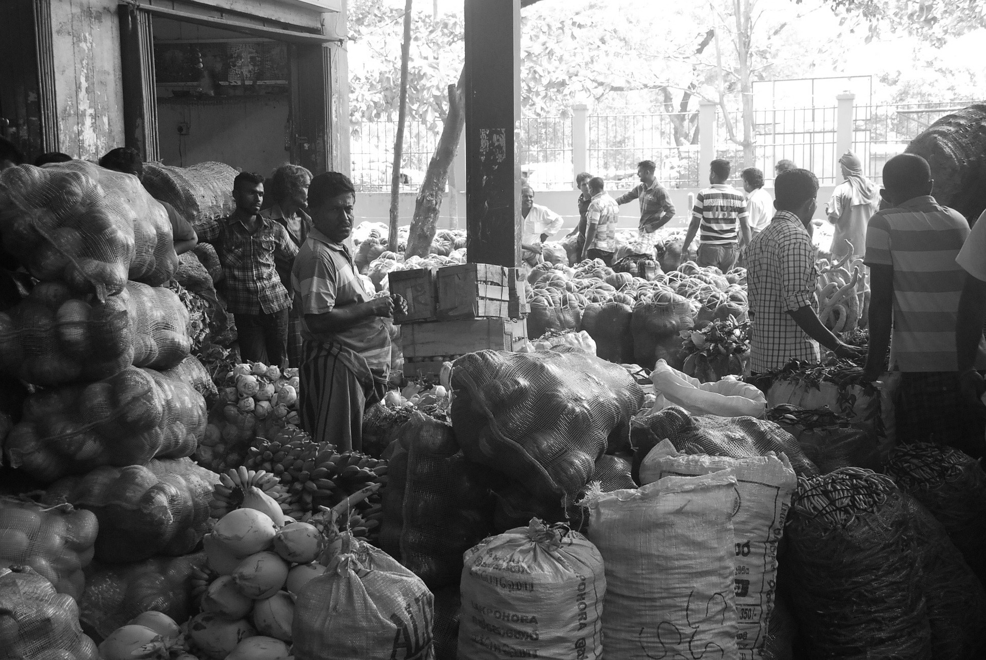 The Street Vendor Act in India: what is still to be achieved for women ...